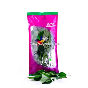 Chapoo leaf | Thaifreshproduce.com by Swift Co.