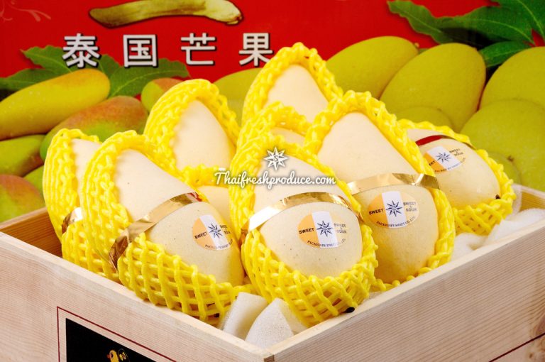 Mango China Box | Thaifreshproduce.com by Swift Co.