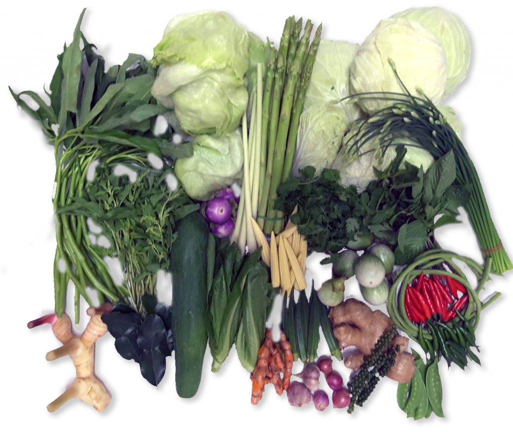 floating-vegetable | Thaifreshproduce.com by Swift Co.