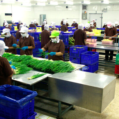 Packing Facilities | Thaifreshproduce.com by Swift Co.